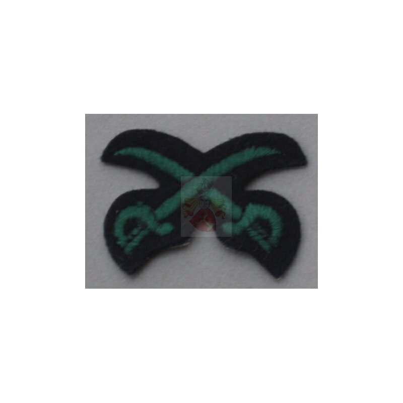 Physical Training Instructor Insignia, 4,00